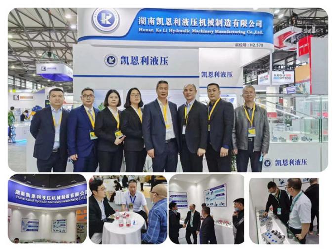 Hydraulic Pressure Counterbalance Valve Relief Double Counter Balance Valve