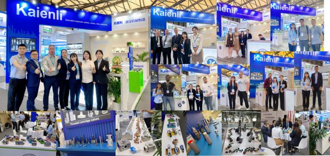 Hydraulic Pressure Counterbalance Valve Relief Double Counter Balance Valve